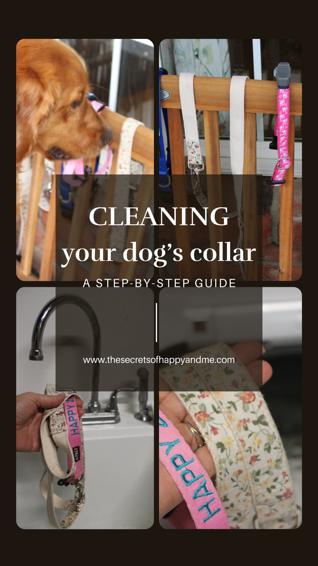 Step-by-Step Guide on How to Clean Your Dog's Collar - The Secrets of ...