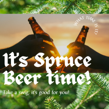 Brewing Bliss: A Complete Guide to Making Spruce Beer - The Secrets of ...